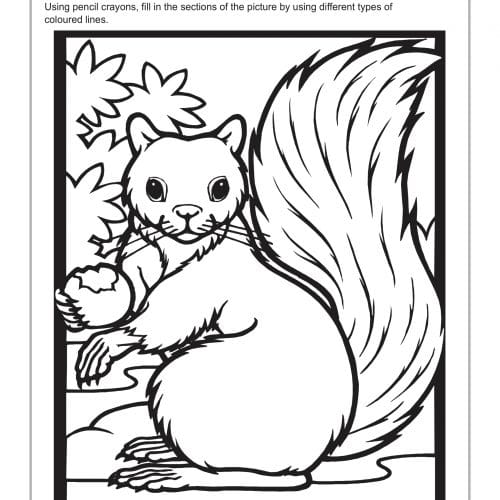Canadian Art Ideas Grades 2-4 Workbook