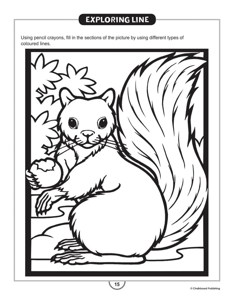 Canadian Art Ideas Grades 2-4 Workbook