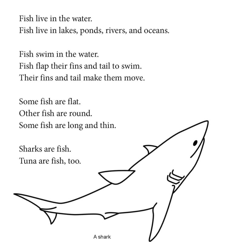 Canadian Daily Reading Comprehension Grade 1 Workbook