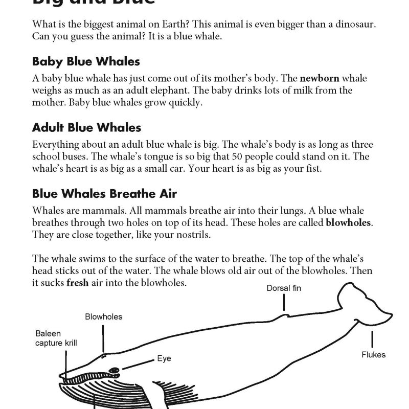 Canadian Daily Reading Comprehension Grade 2 Workbook