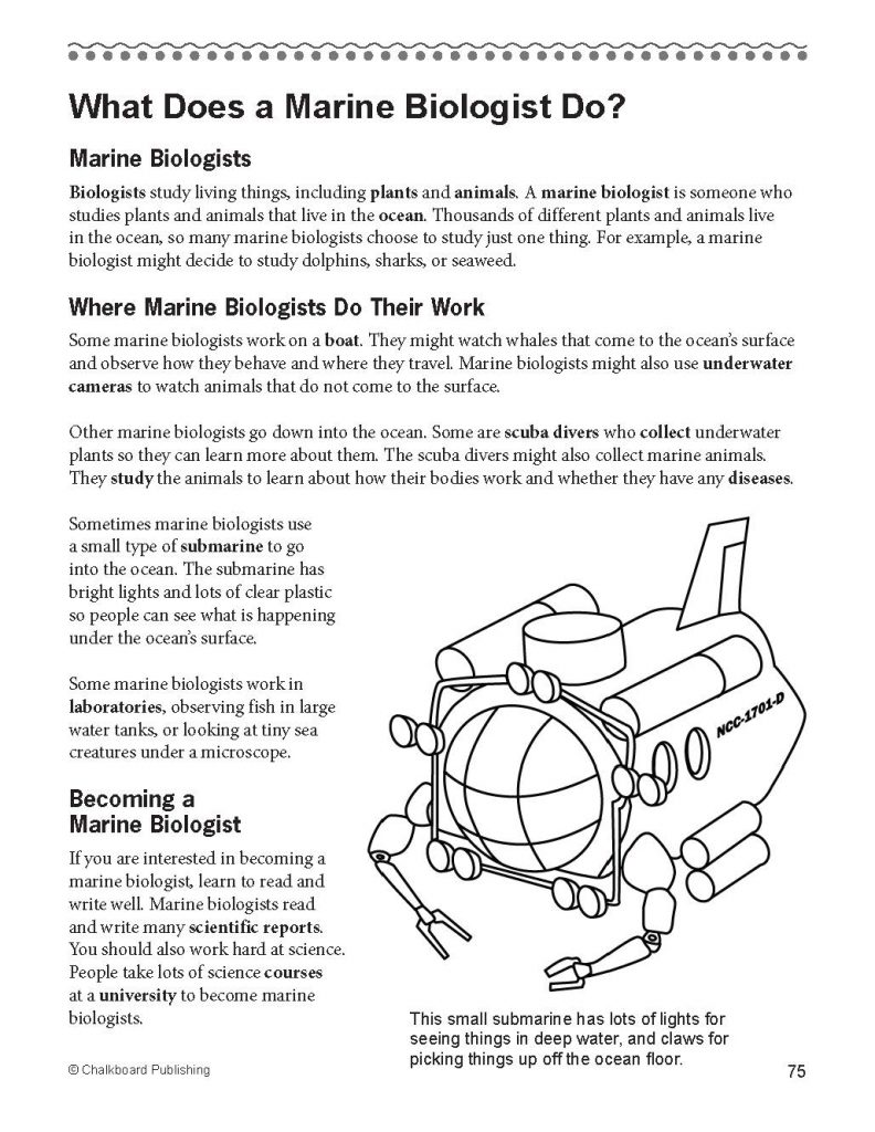 Canadian Daily Reading Comprehension Grade 4 Workbook