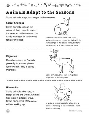 Grade 2 STEM Workbook