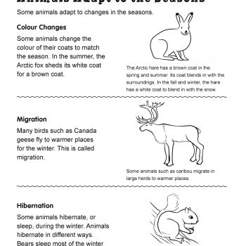 Grade 2 STEM Workbook