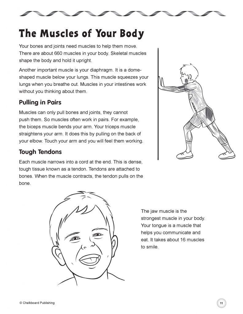 Grade 5 STEM Workbook