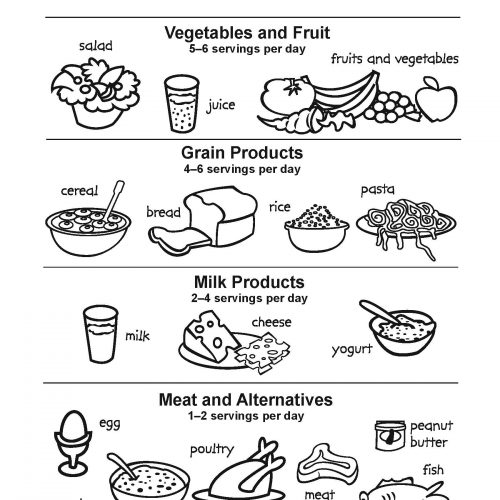 Canadian Health Activities Grades 4-6 Workbook