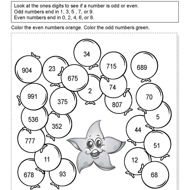 Math Basics Third Grade eBook