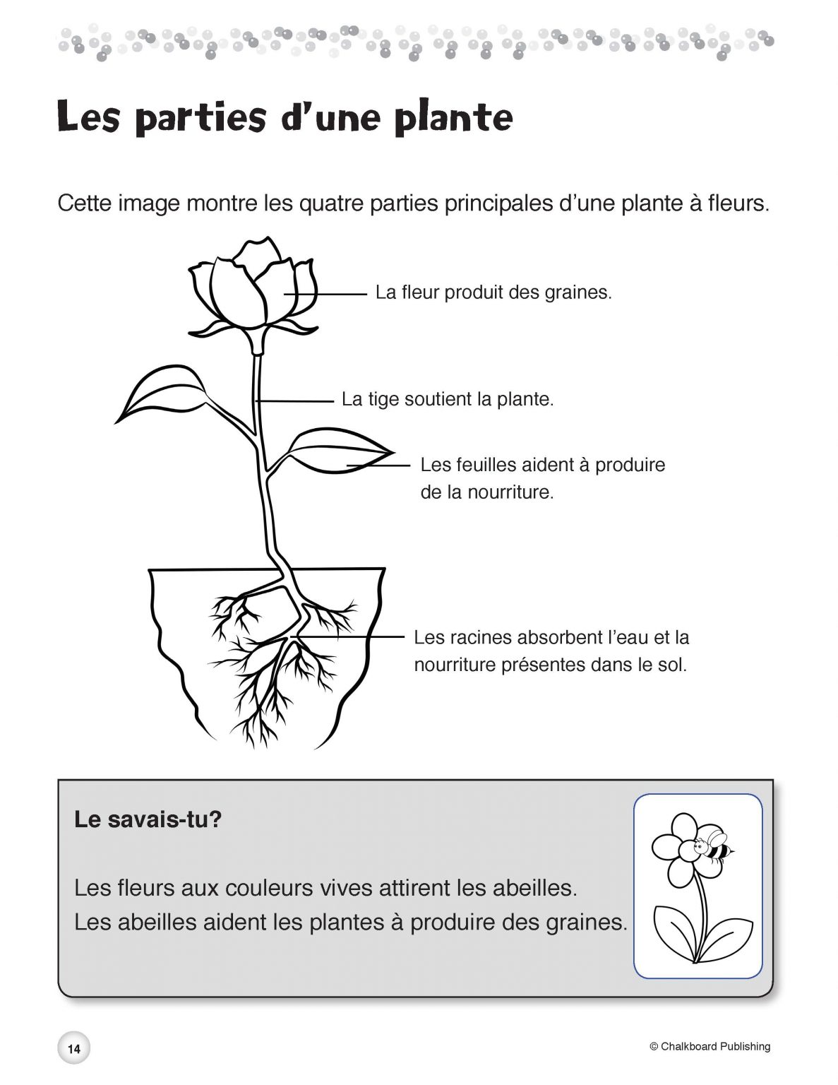 Canadian French Daily Science Grade 1 Workbook