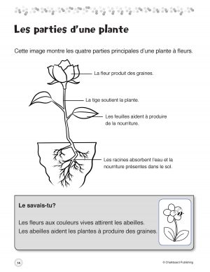 Canadian French Daily Science Grade 1 Workbook
