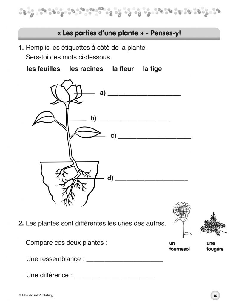 Canadian French Daily Science Grade 1 Workbook