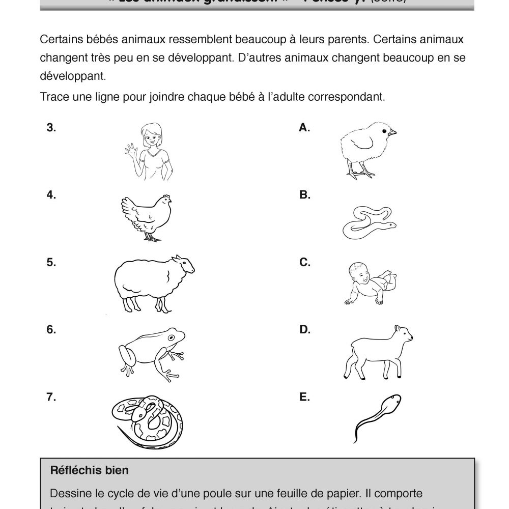 Canadian French Daily Science Grade 2 Workbook