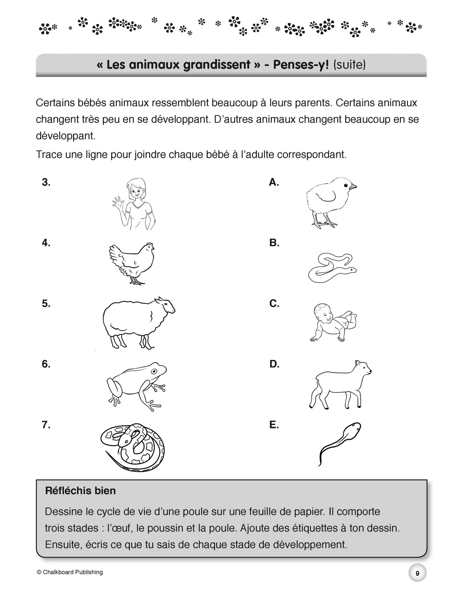 Canadian French Daily Science Grade 2 Workbook