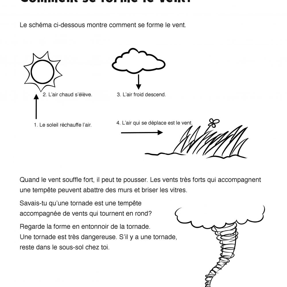 Canadian French Daily Science Grade 2 Workbook