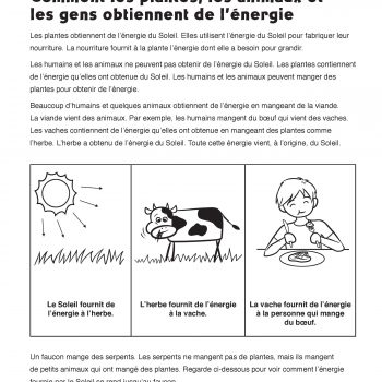 Canadian French Daily Science Grade 3 Workbook