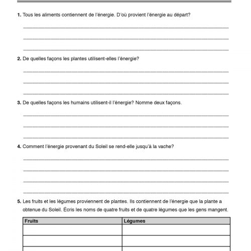 Canadian French Daily Science Grade 3 Workbook