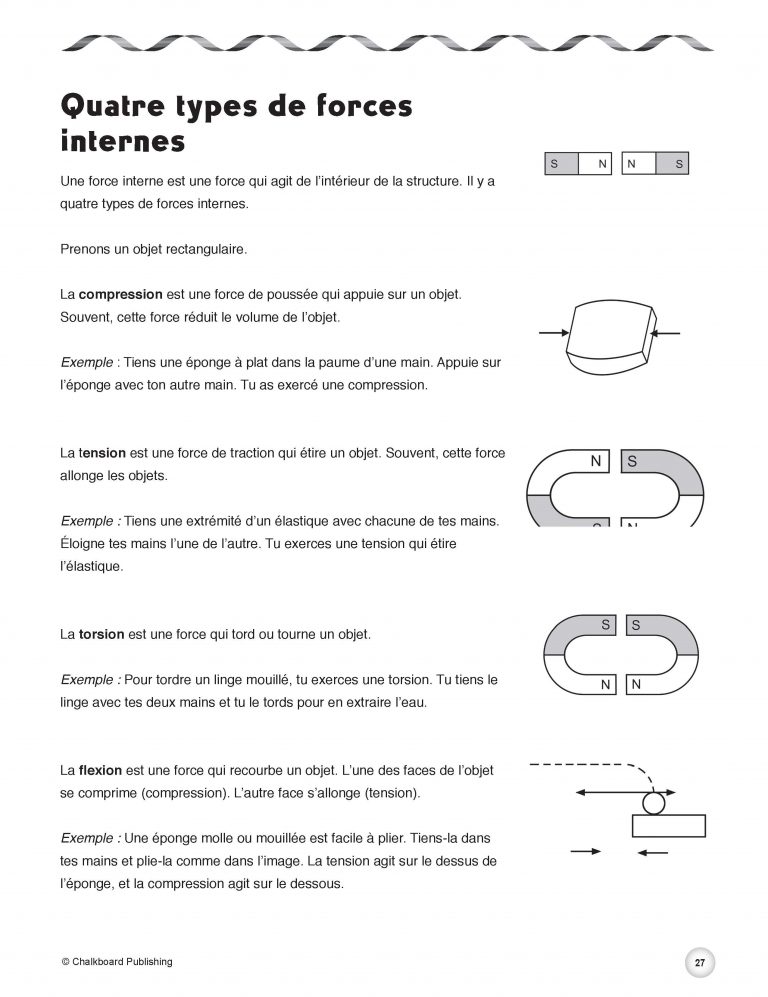 French Daily Science Grade 5 Workbook