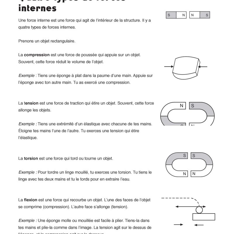 French Daily Science Grade 5 Workbook