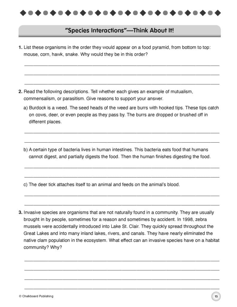 Common Core Grade 6 - Essentials Bundle - Chalkboard Publishing