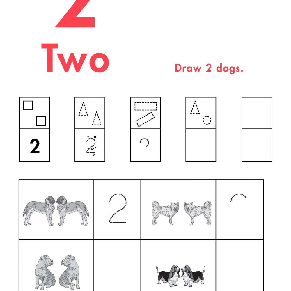 Check & Double Check Math Level 1 - eBook - Chalkboard Publishing