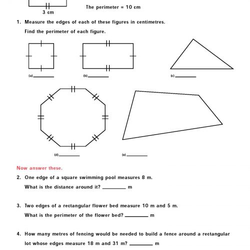 Check & Double Check Math Level 5 - eBook - Chalkboard Publishing