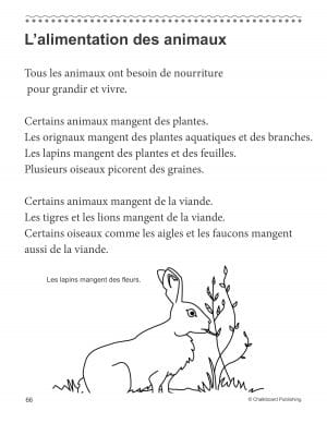 Canadian French Daily Reading Comprehension Grade 1 - eBook ...