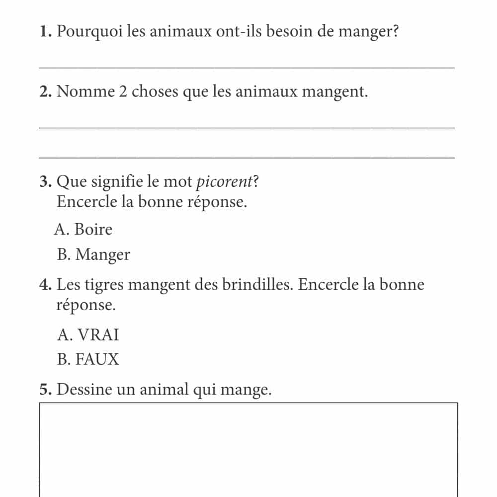 Canadian French Daily Reading Comprehension Grade 1 - eBook ...