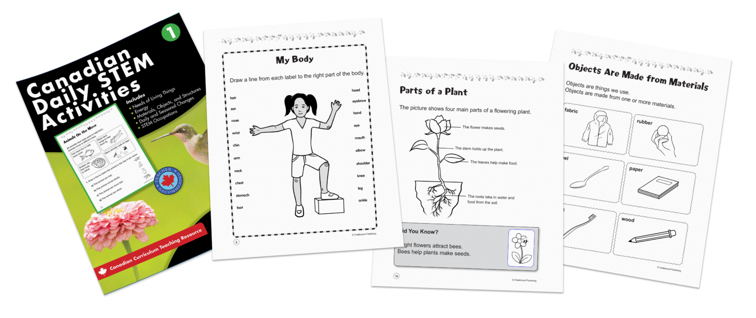 Digital Learning Library for Teachers