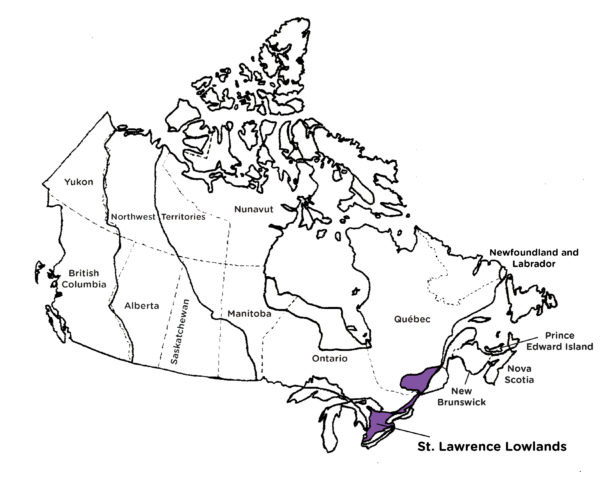 Topic - St. Lawrence Lowlands - Chalkboard Publishing