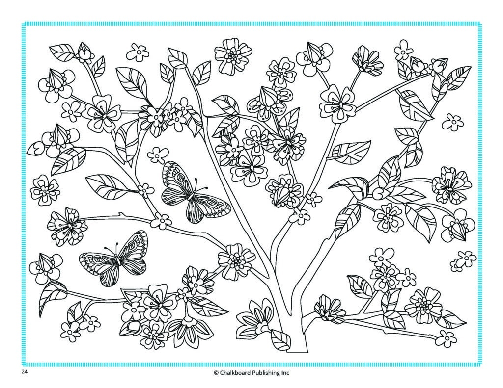 Canadian Creative Colouring: Nature - eBook - Chalkboard Publishing