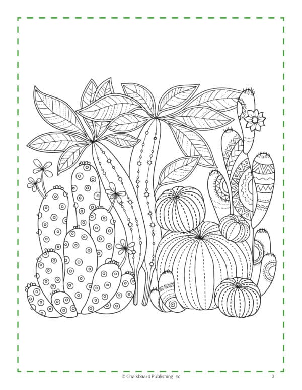 Canadian Creative Colouring: Plants - eBook - Chalkboard Publishing