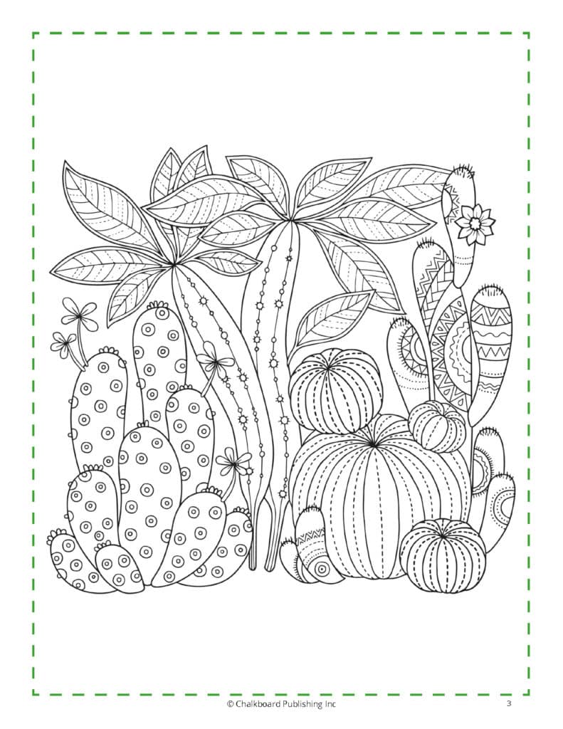 Canadian Creative Colouring: Plants - eBook - Chalkboard Publishing