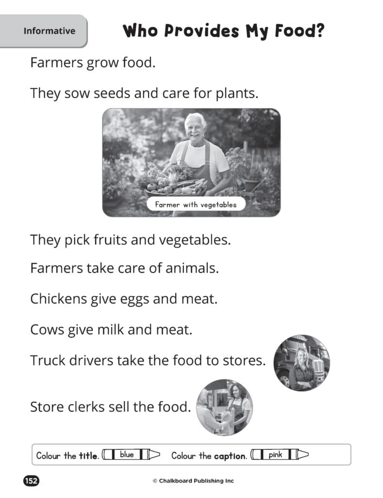 Complete English Scholar Grade 1 - eBook - Chalkboard Publishing