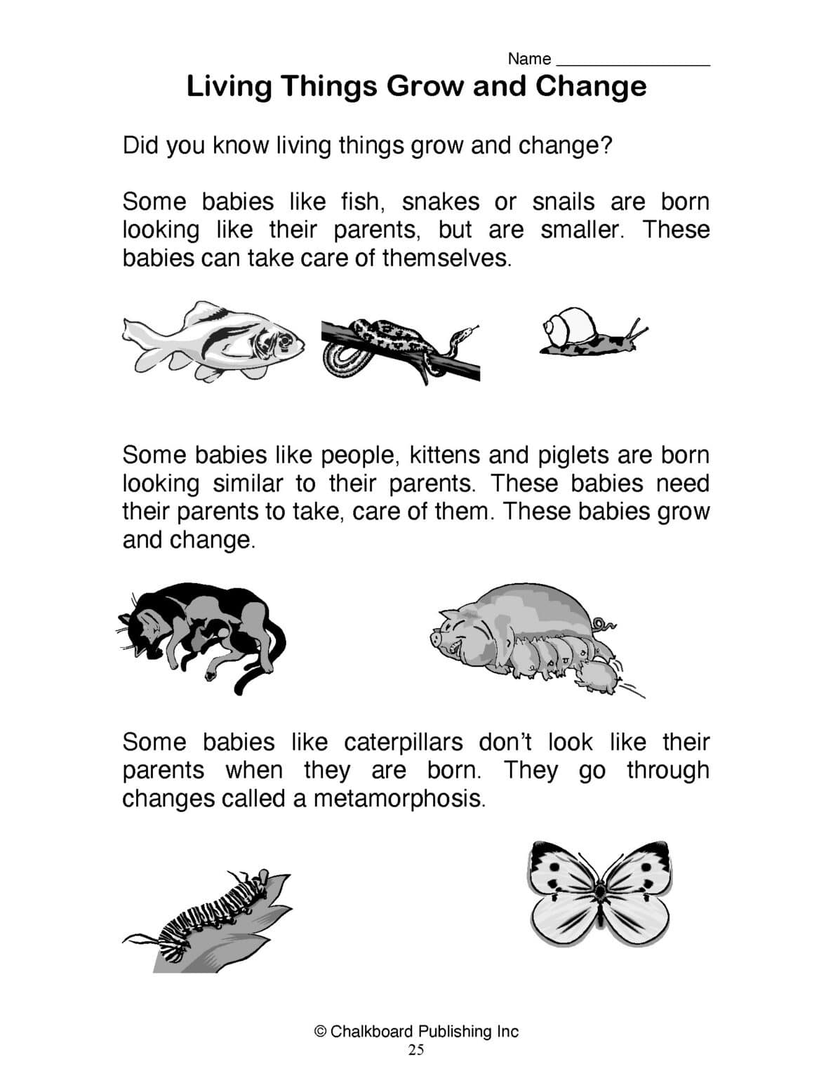Living Things STEM Unit Grades 1-2 - Chalkboard Publishing