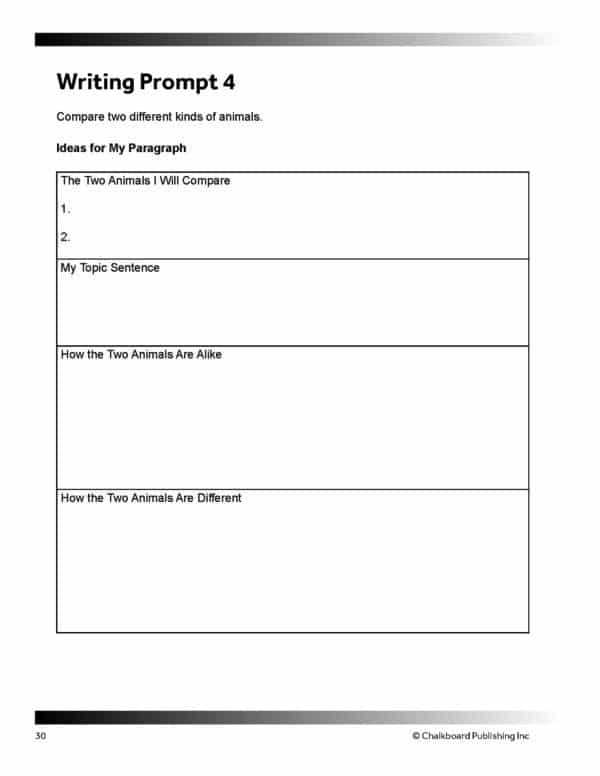 EQAO Grade 3 Practice | Chalkboard Publishing